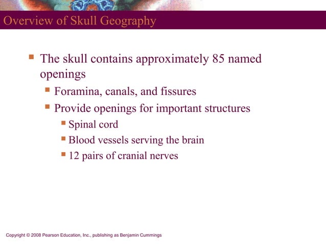anatomy_axial_skeleton_pearson.ppt
