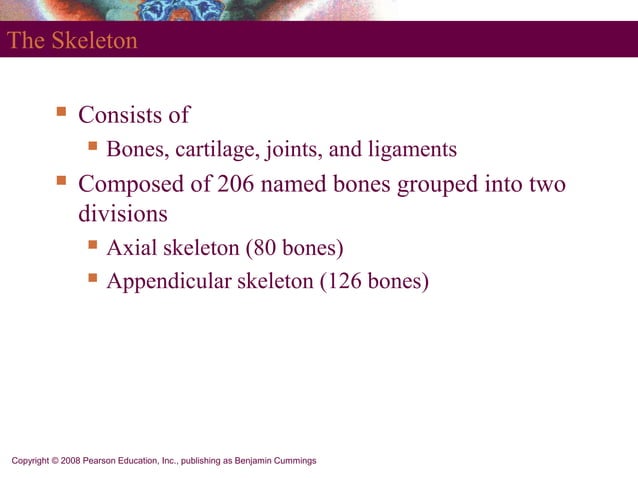 anatomy_axial_skeleton_pearson.ppt
