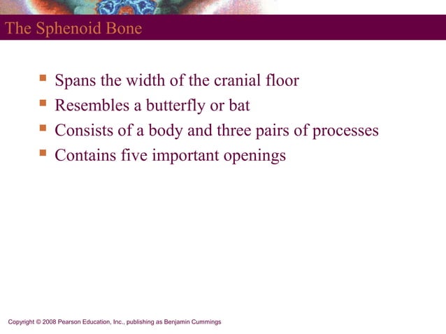 anatomy_axial_skeleton_pearson.ppt