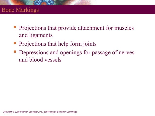 anatomy_axial_skeleton_pearson.ppt