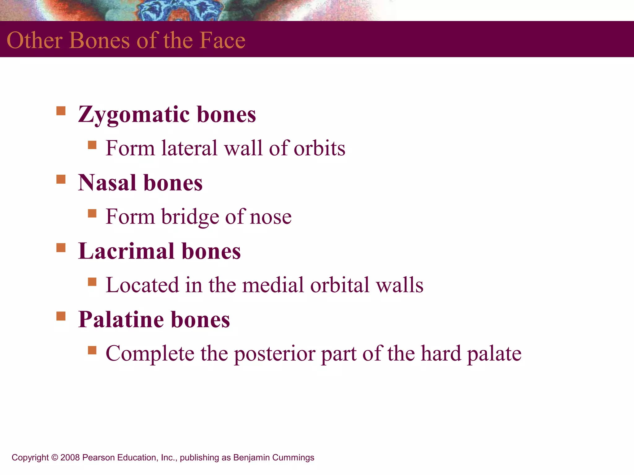 anatomy_axial_skeleton_pearson.ppt