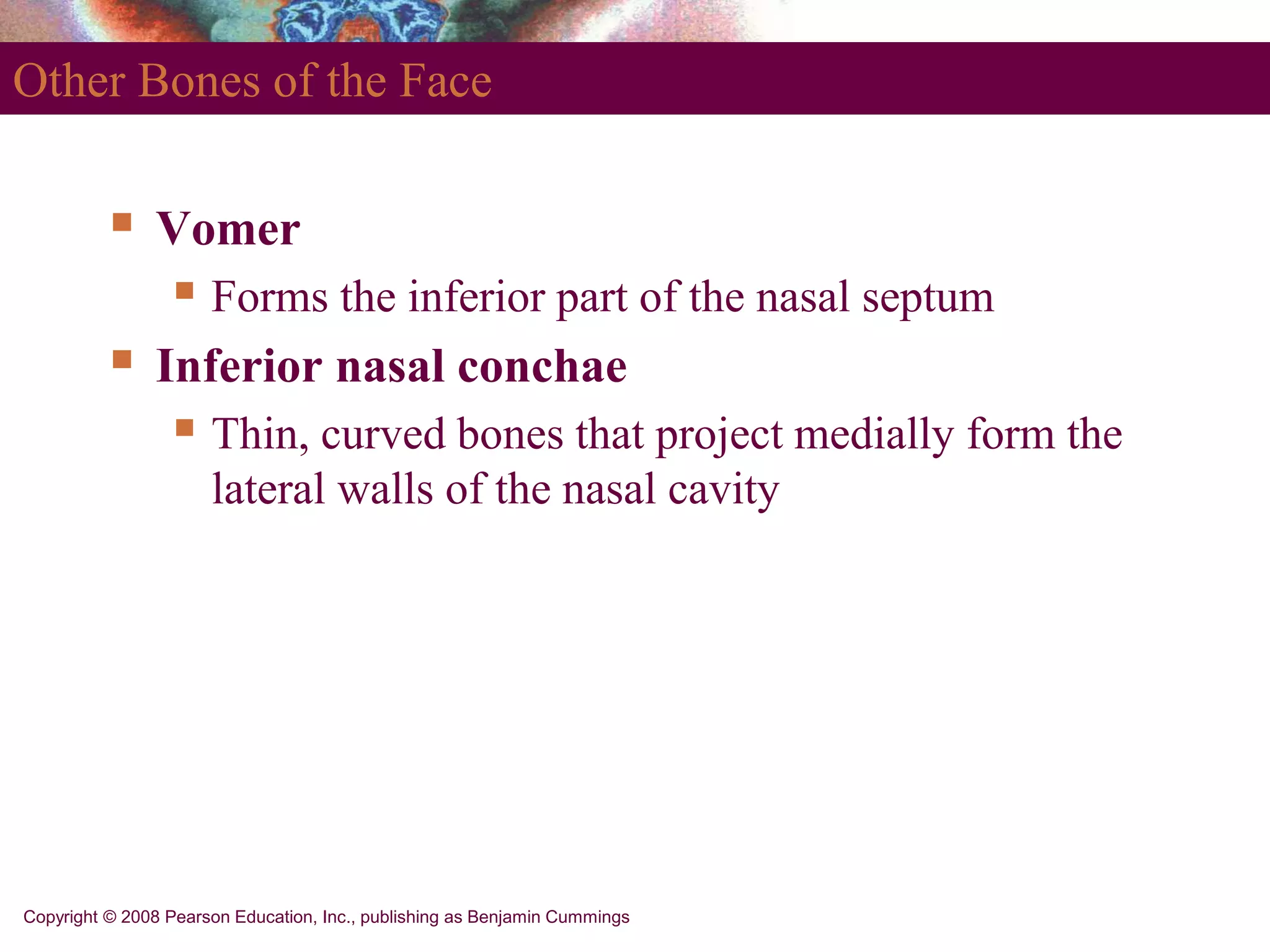 anatomy_axial_skeleton_pearson.ppt