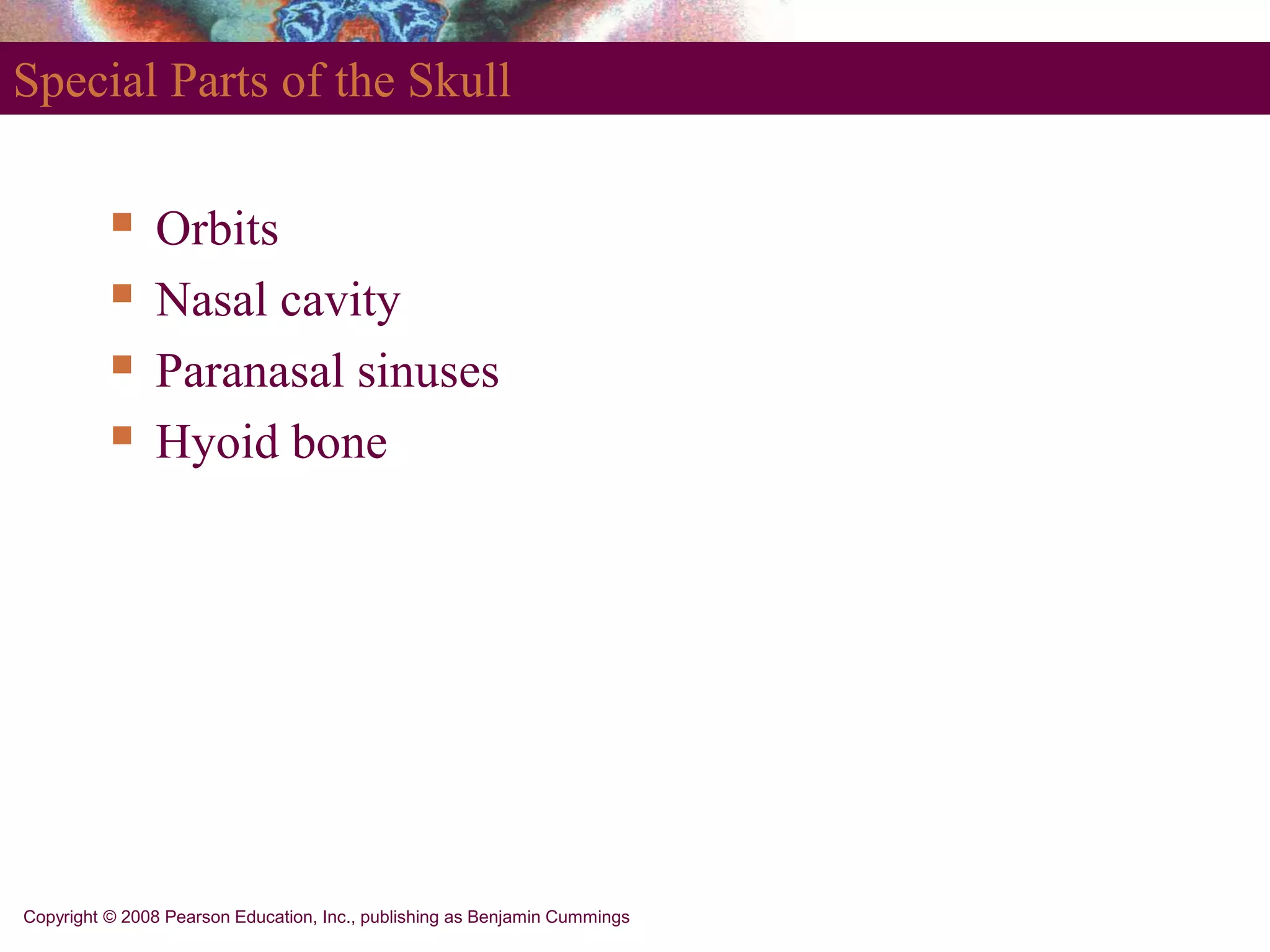 anatomy_axial_skeleton_pearson.ppt
