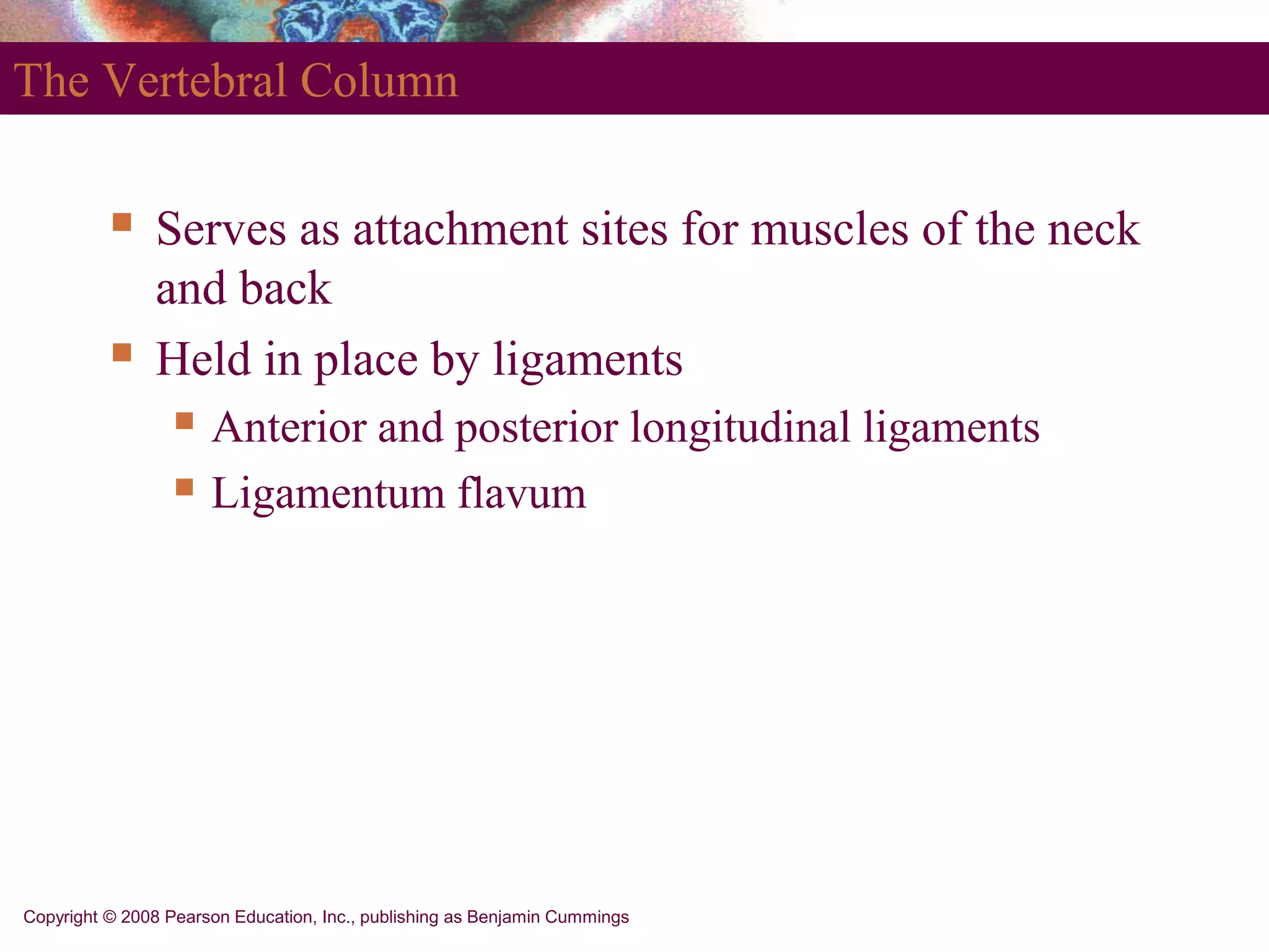 anatomy_axial_skeleton_pearson.ppt