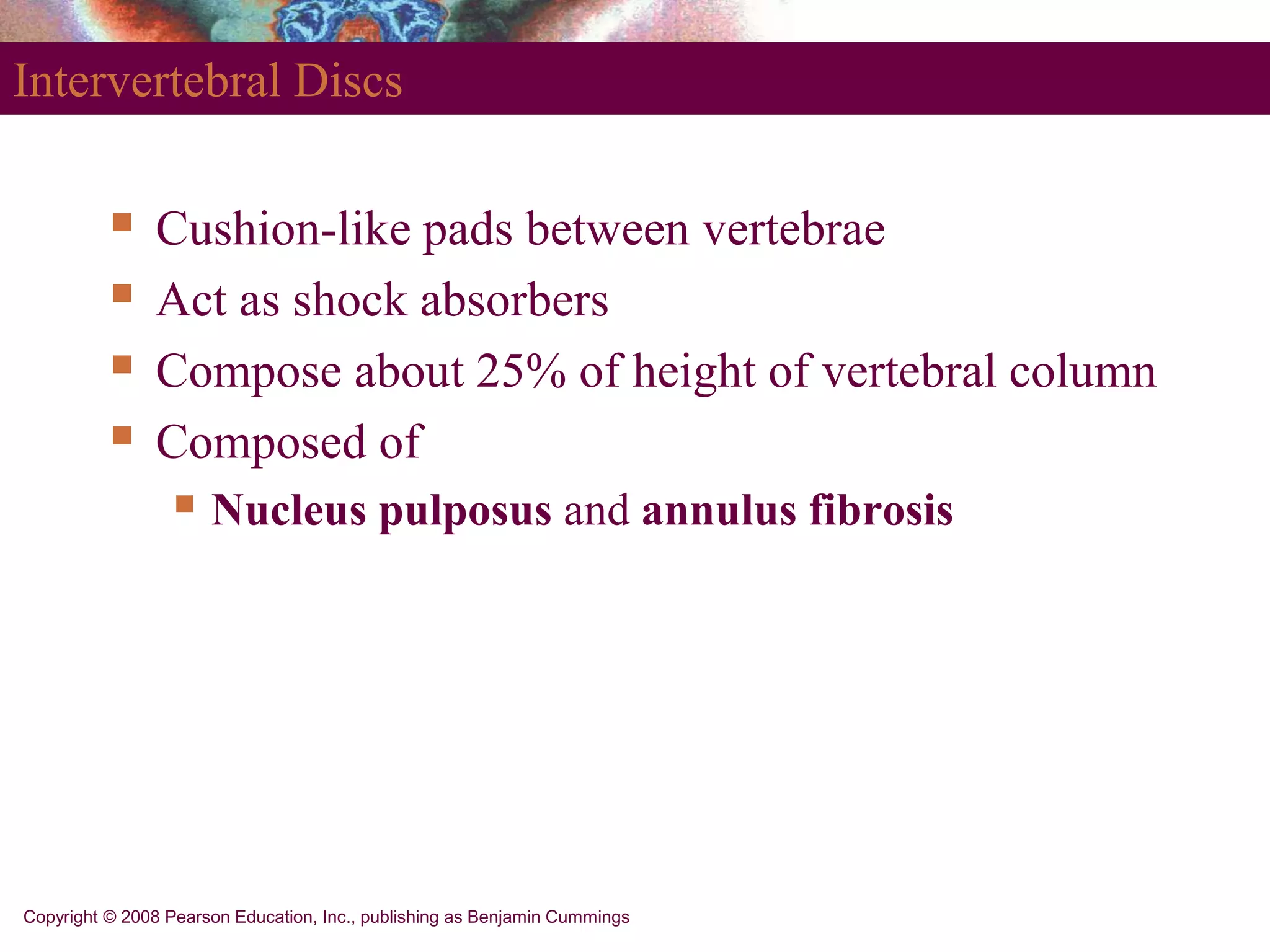 anatomy_axial_skeleton_pearson.ppt