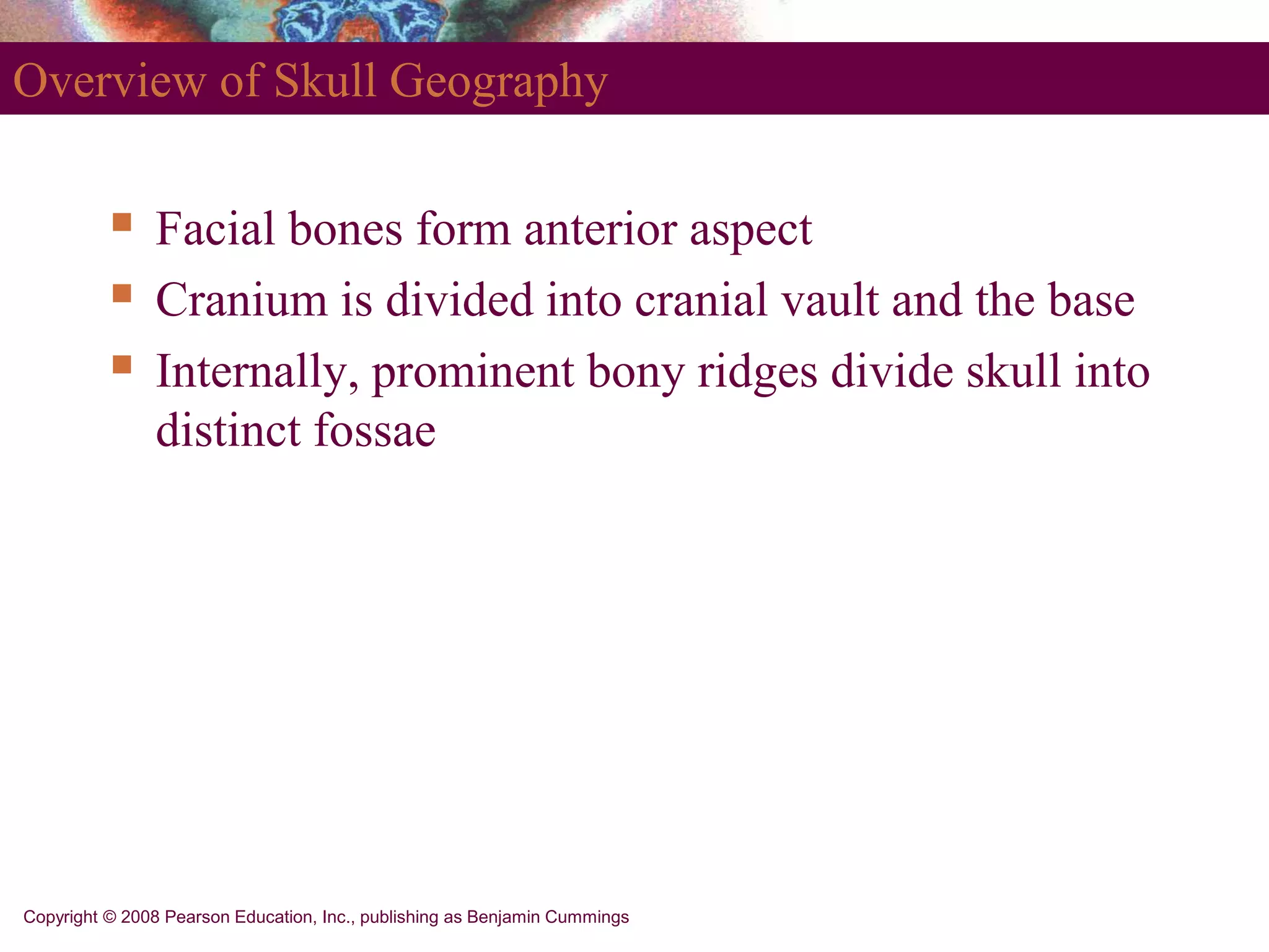 anatomy_axial_skeleton_pearson.ppt | Death, Injury, or Military ...