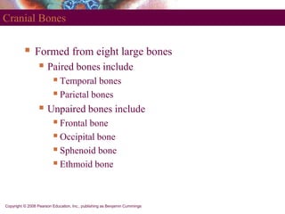 anatomy_axial_skeleton_pearson.ppt