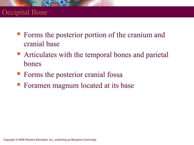 anatomy_axial_skeleton_pearson.ppt