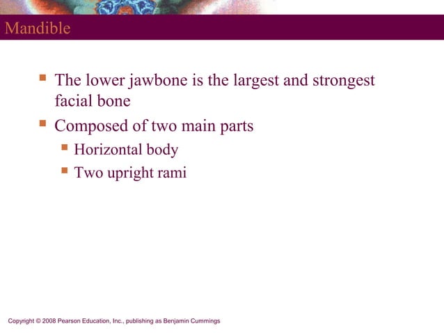 anatomy_axial_skeleton_pearson.ppt