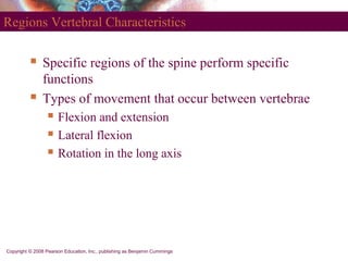 anatomy_axial_skeleton_pearson.ppt