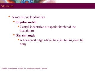 anatomy_axial_skeleton_pearson.ppt