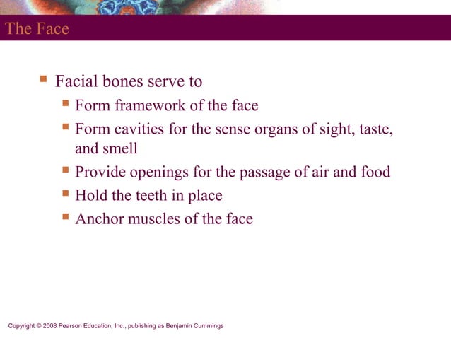 anatomy_axial_skeleton_pearson.ppt