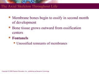 anatomy_axial_skeleton_pearson.ppt