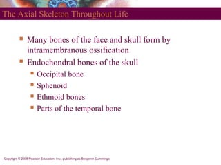 anatomy_axial_skeleton_pearson.ppt | Death, Injury, or Military ...