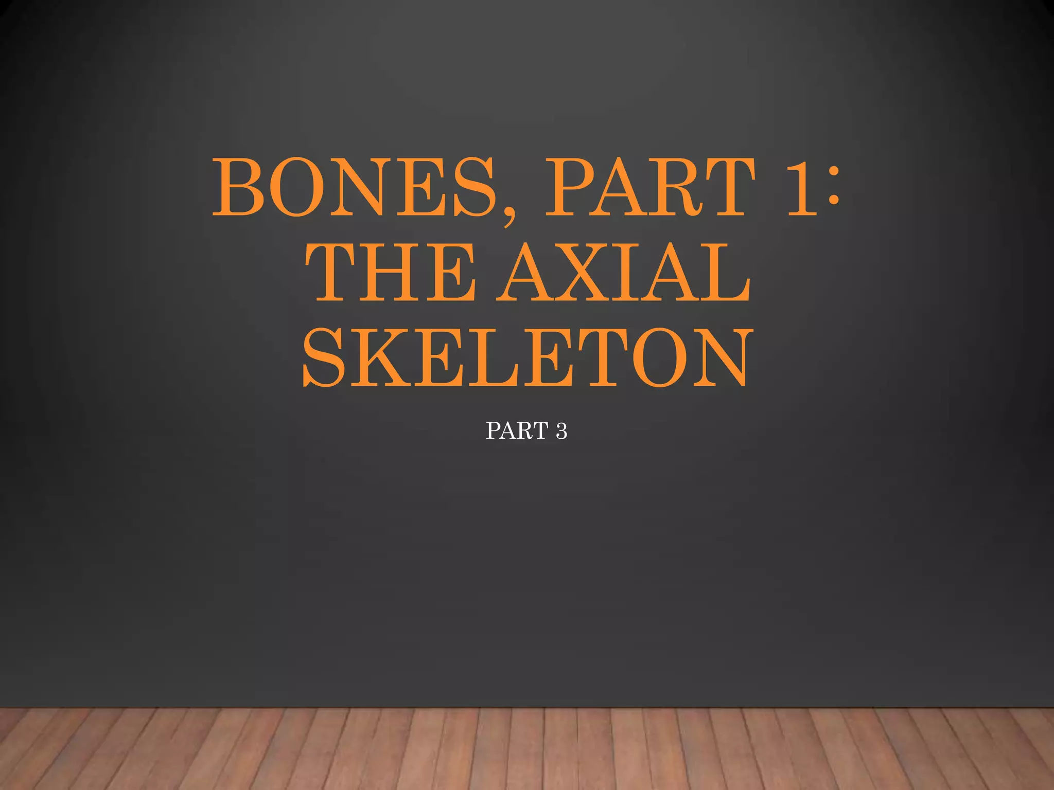 anatomy axial skeleton VAN.ppt