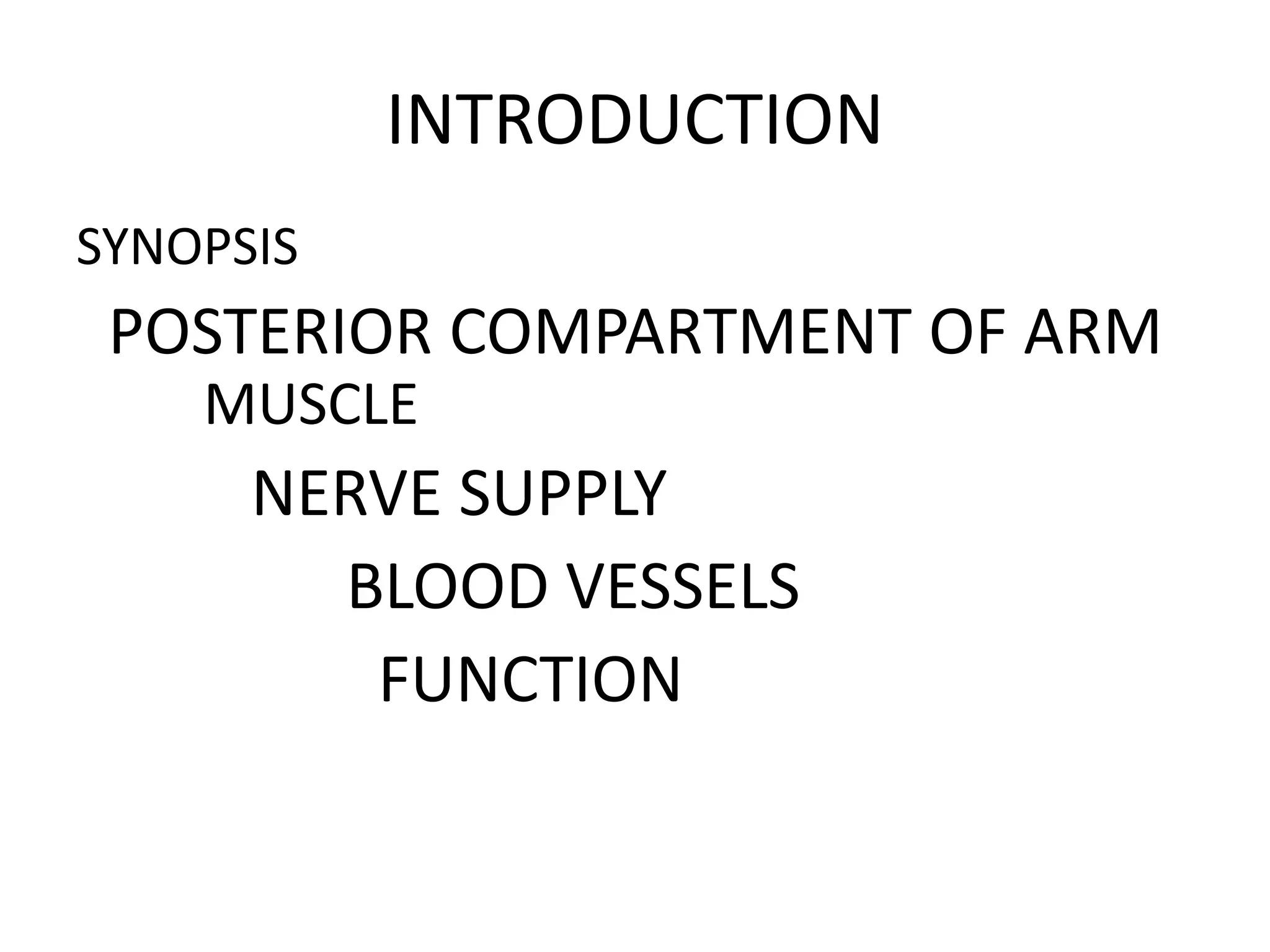 ANATOMY BACK OF ARM PPT.ppt