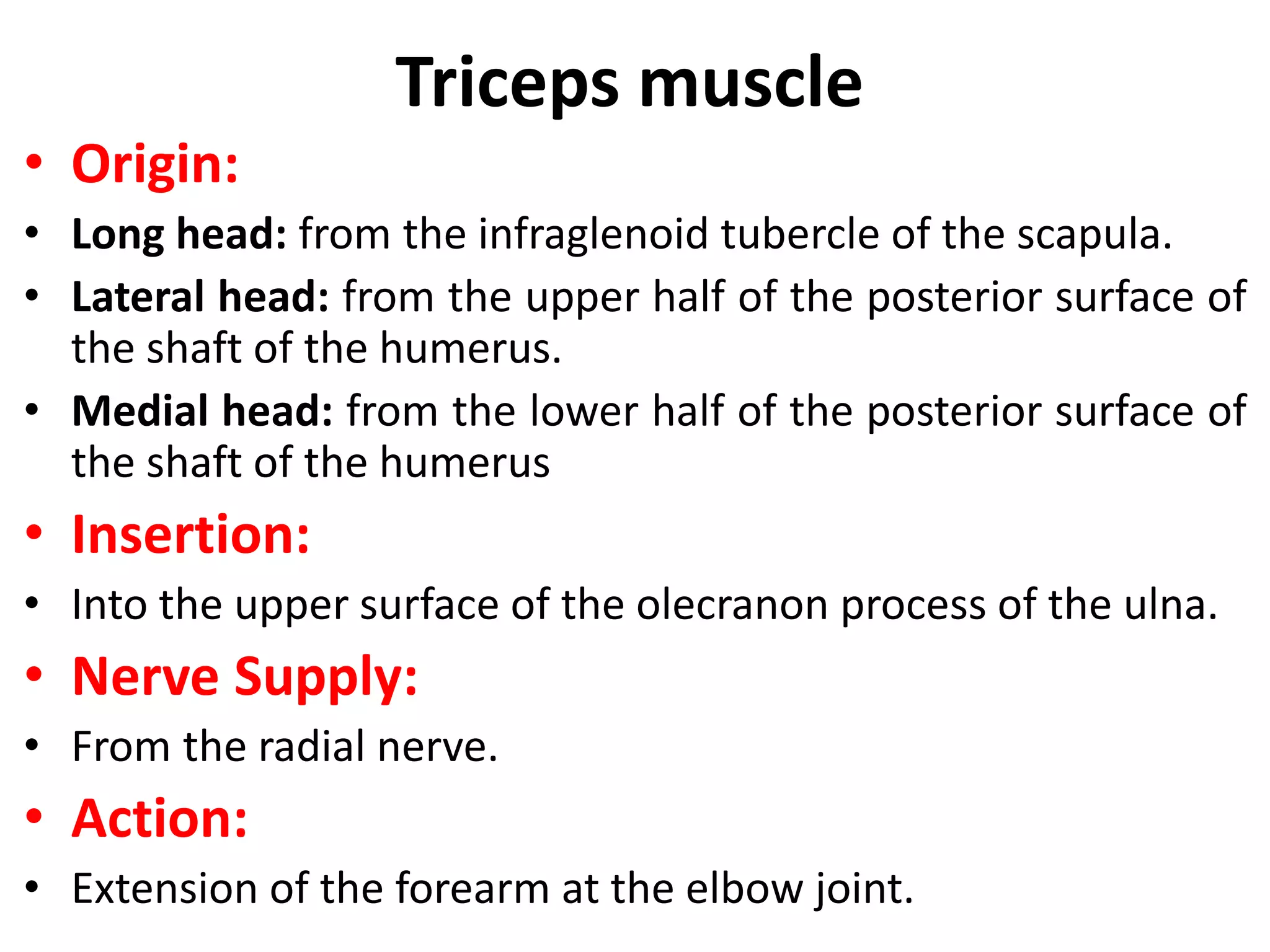 ANATOMY BACK OF ARM PPT.ppt