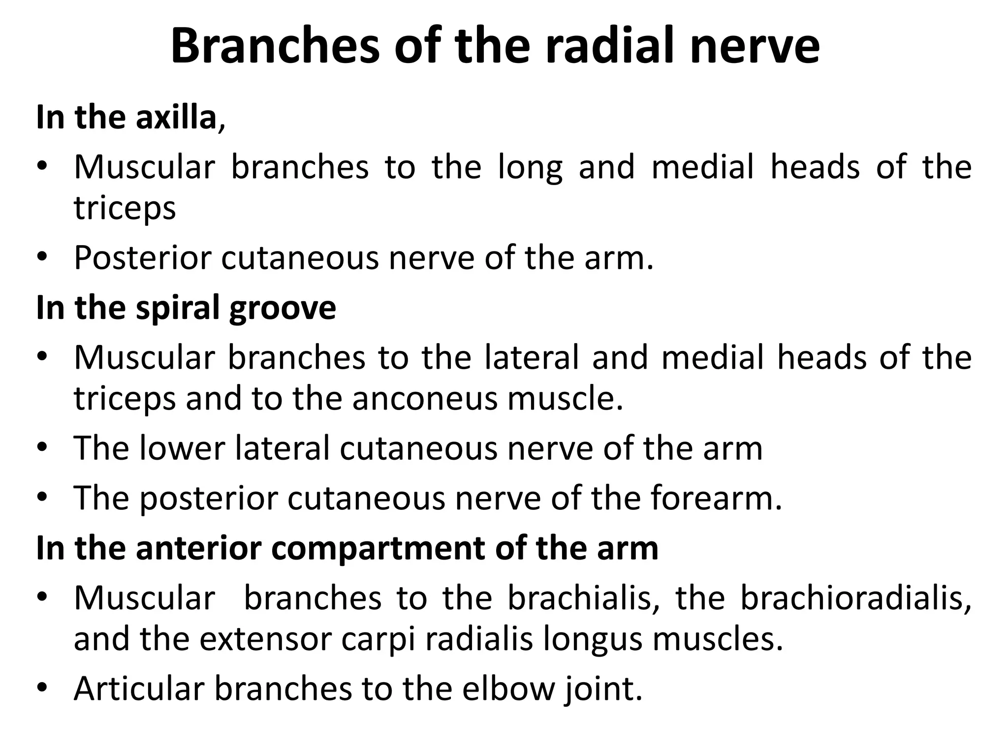 ANATOMY BACK OF ARM PPT.ppt