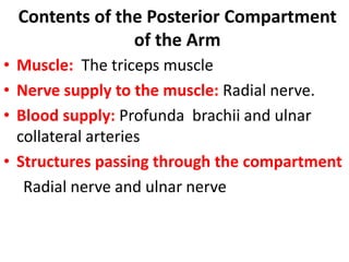 ANATOMY BACK OF ARM PPT.ppt
