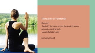 Anatomy basics for yoga instructors | PPT