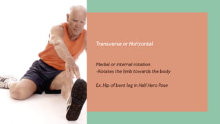 Anatomy basics for yoga instructors | PPT