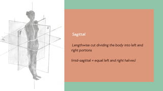 Anatomy basics for yoga instructors | PDF