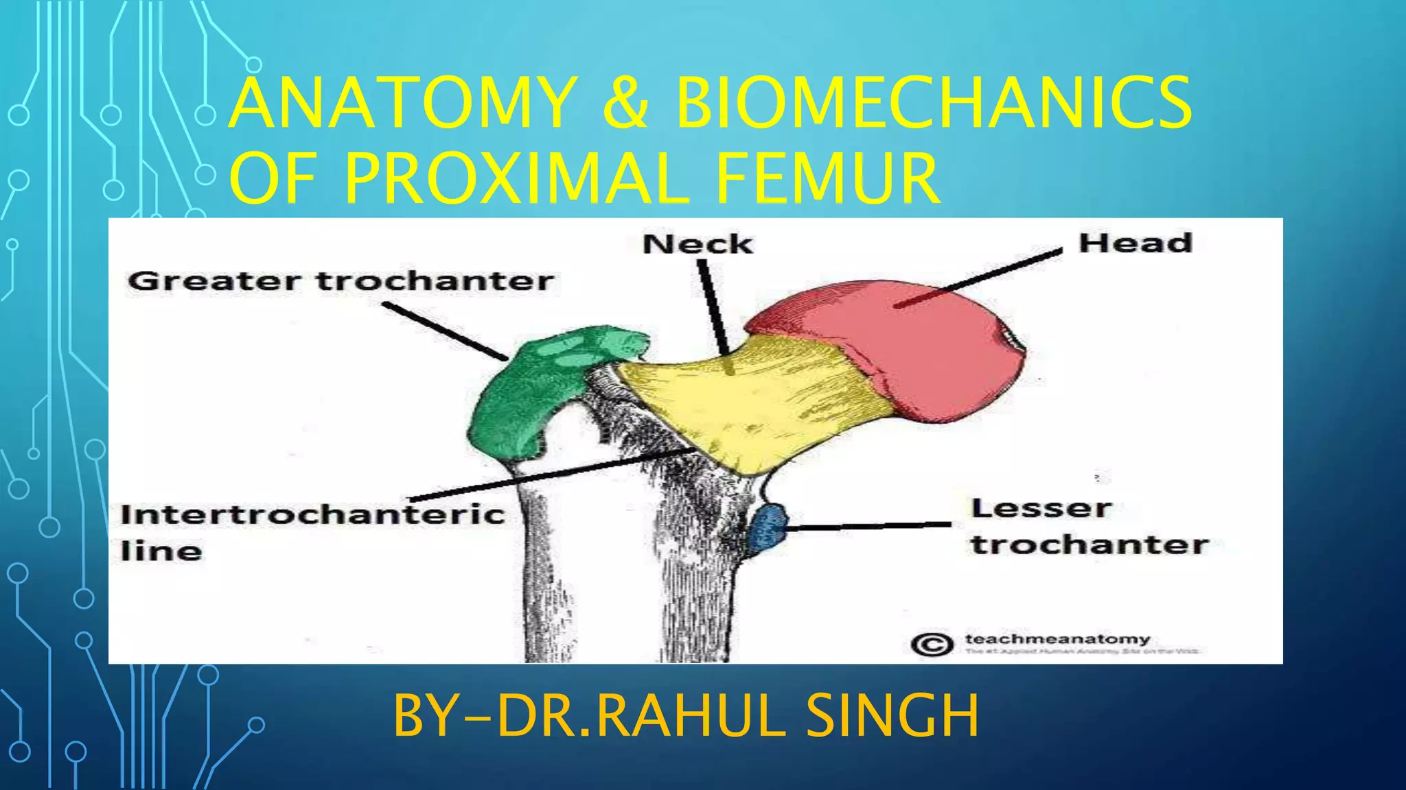 Anatomy,Biomechanics & surgical approaches of proximal femur | PPTX