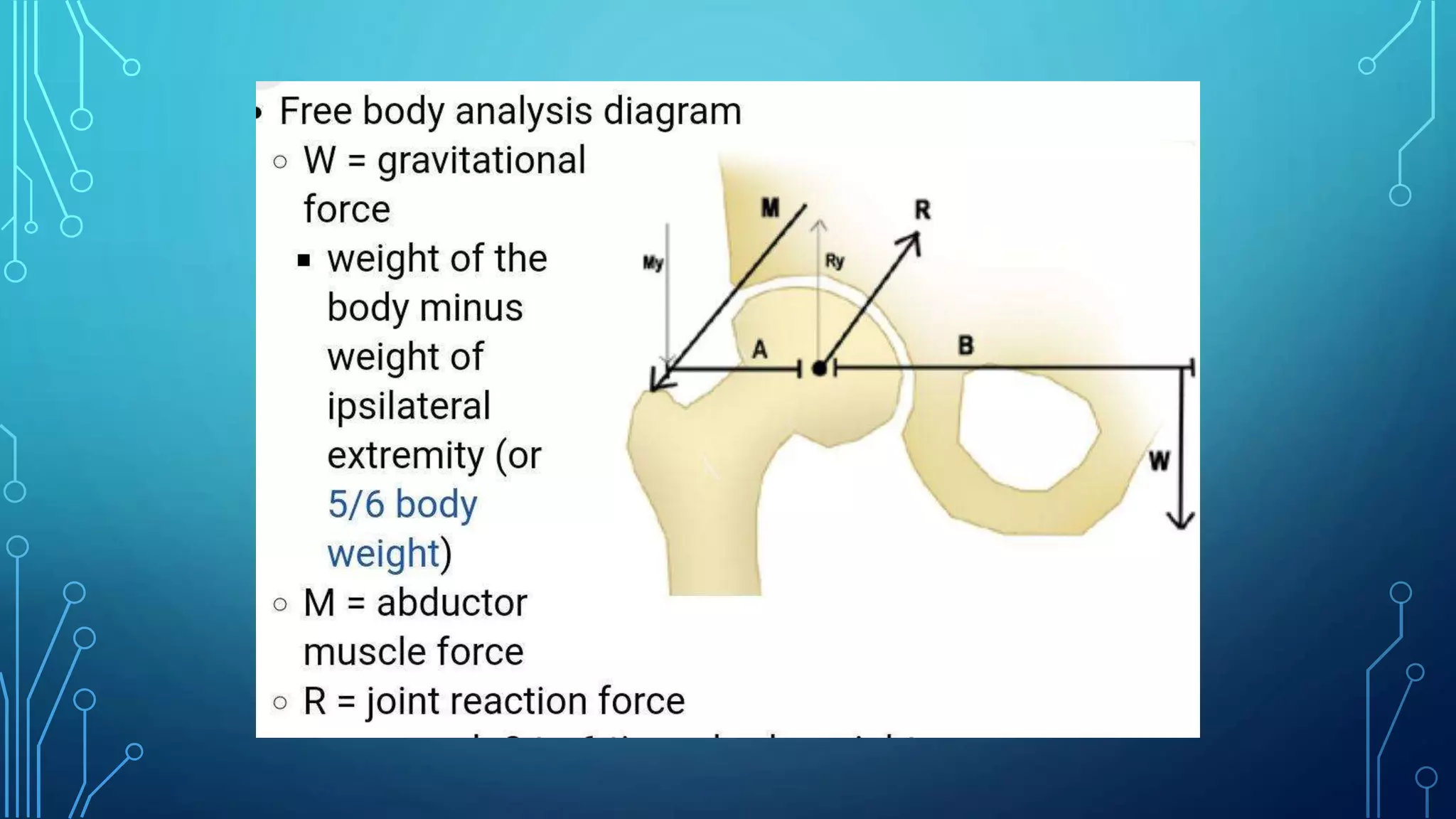 Anatomy,Biomechanics & surgical approaches of proximal femur | PPTX