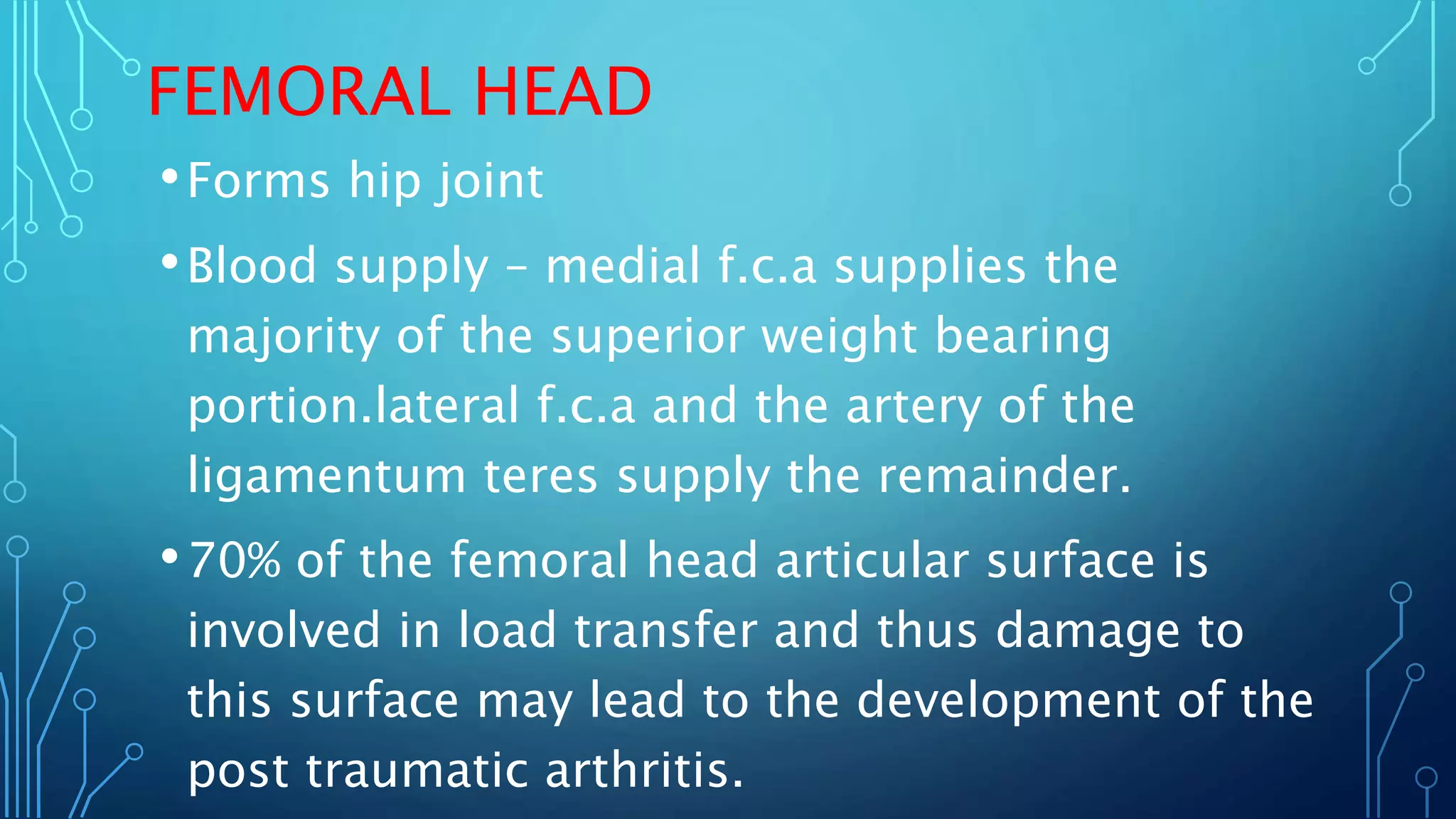 Anatomy,Biomechanics & surgical approaches of proximal femur | PPTX