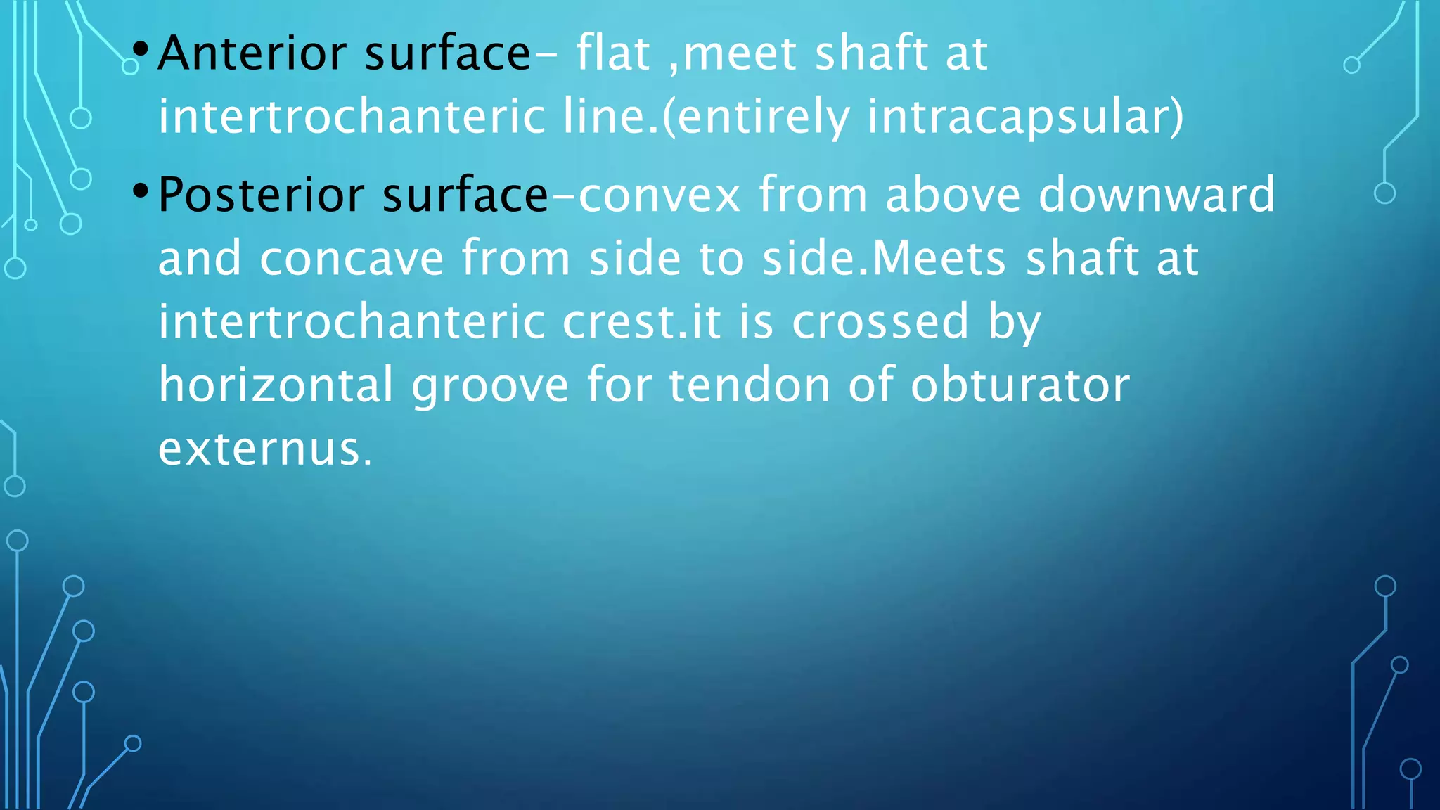 Anatomy,Biomechanics & surgical approaches of proximal femur | PPTX