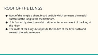 ANATOMY, BLOOD SUPPLY, LYMPHATIC DRAINAGE OF LUNG.pptx
