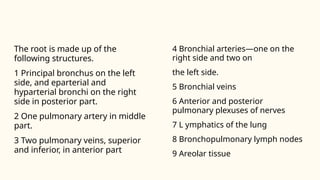 ANATOMY, BLOOD SUPPLY, LYMPHATIC DRAINAGE OF LUNG.pptx