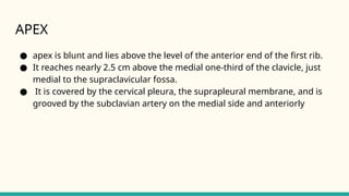 ANATOMY, BLOOD SUPPLY, LYMPHATIC DRAINAGE OF LUNG.pptx