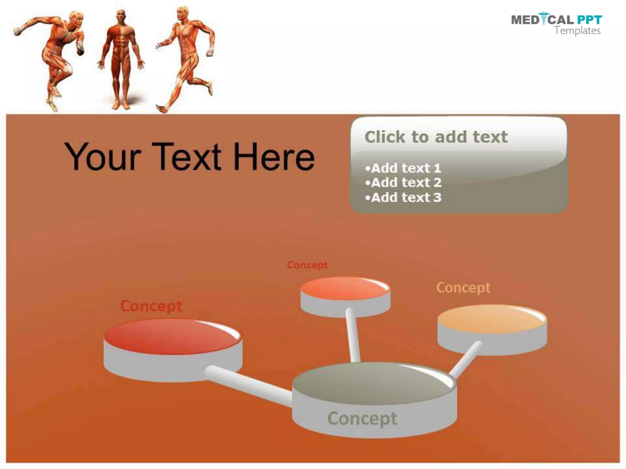 Anatomy Body PowerPoint Templates | PPTX