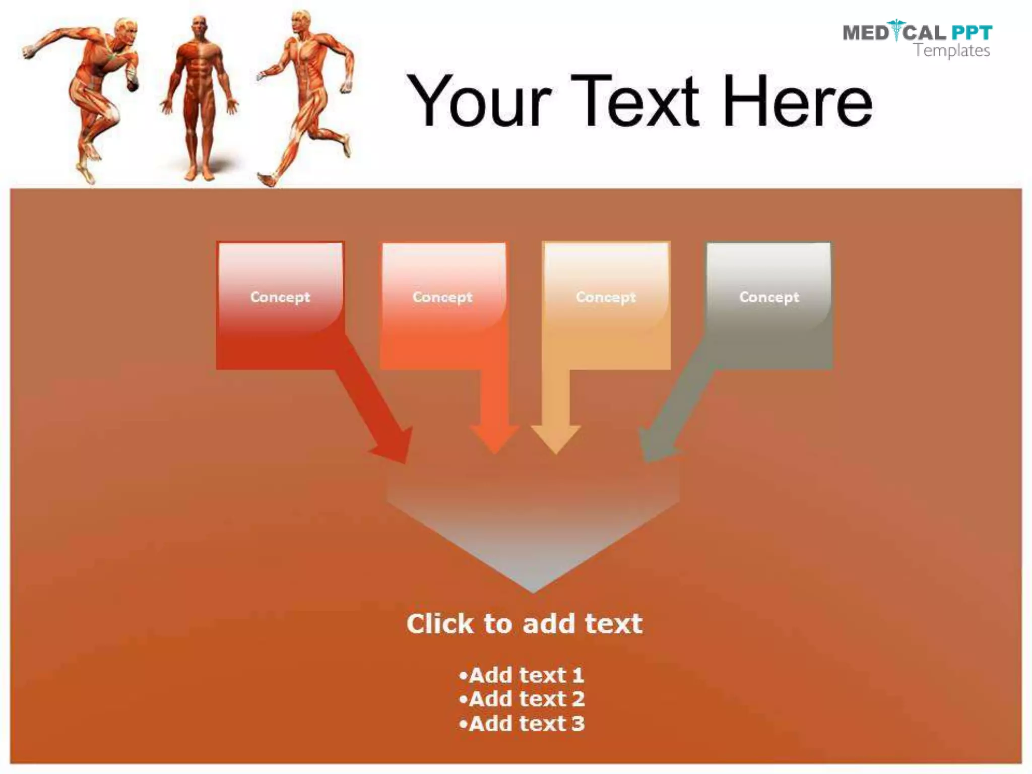 Anatomy Body PowerPoint Templates | PPTX
