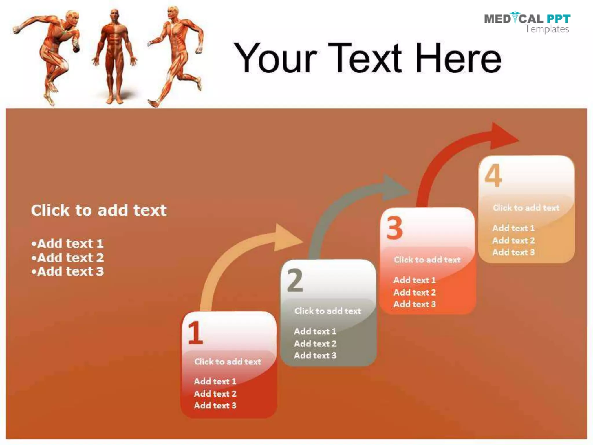 Anatomy Body PowerPoint Templates | PPT