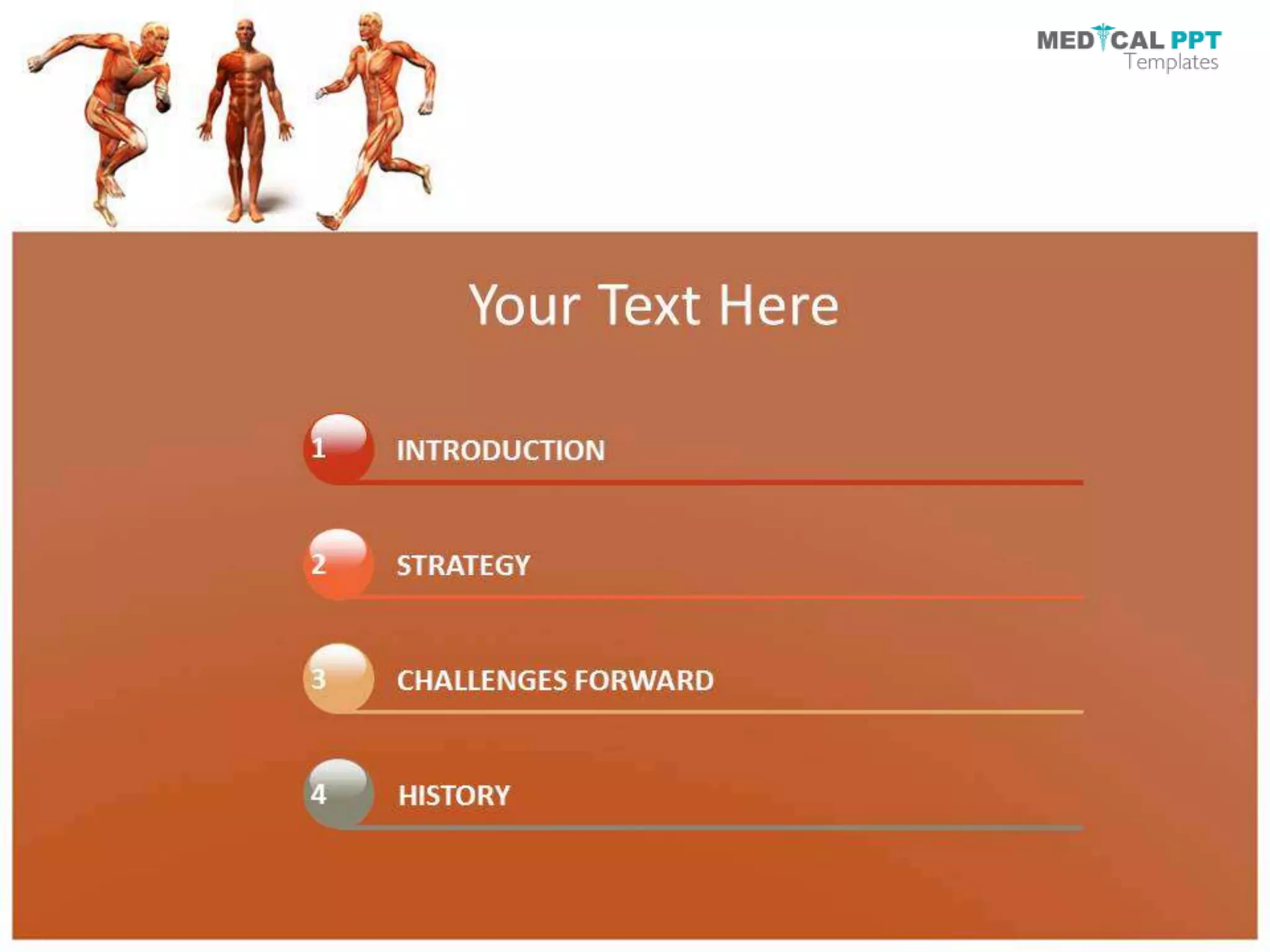 Anatomy Body PowerPoint Templates | PPTX