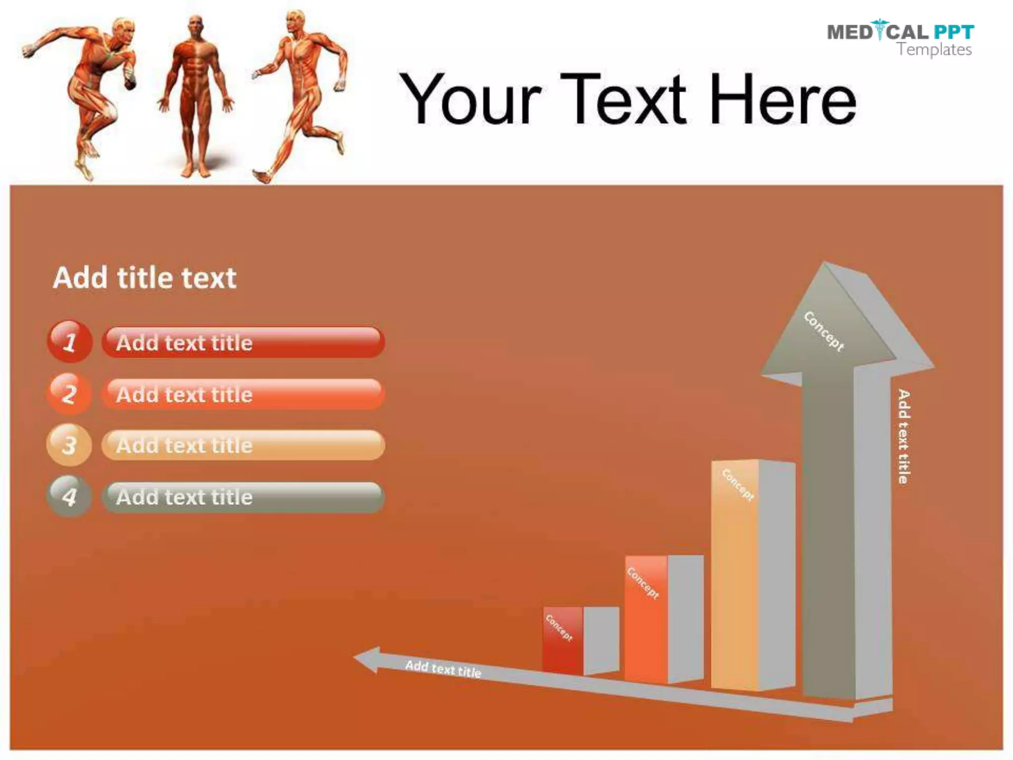 Anatomy Body PowerPoint Templates | PPTX