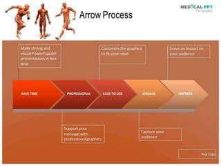 Anatomy Body PowerPoint Templates | PPT