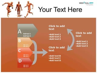 Anatomy Body PowerPoint Templates | PPT
