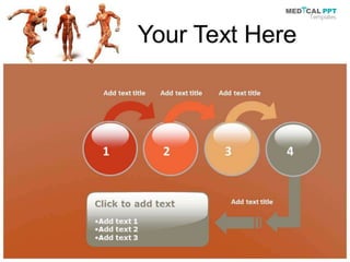 Anatomy Body PowerPoint Templates | PPT