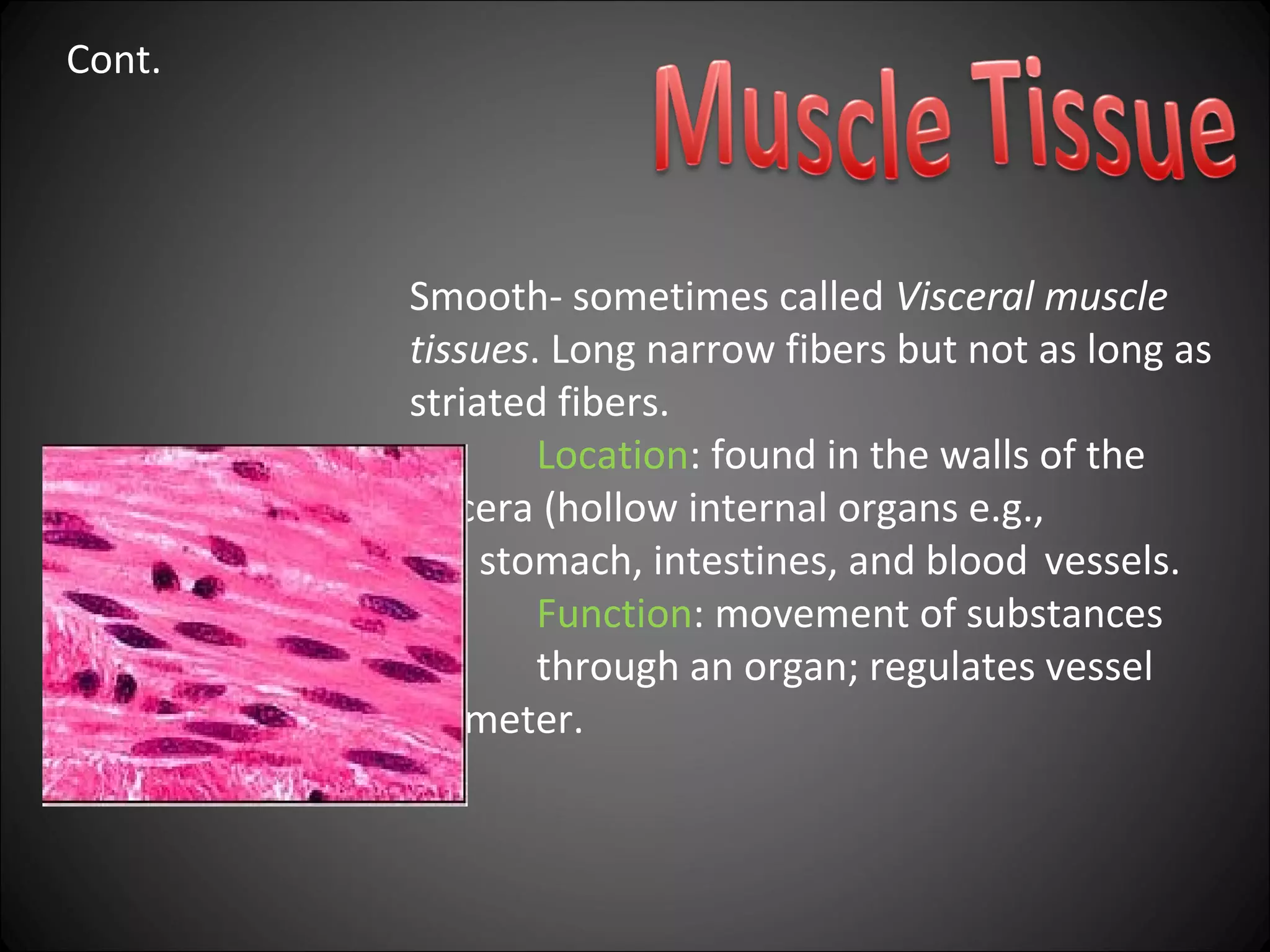 Anatomy body tissues | PPT