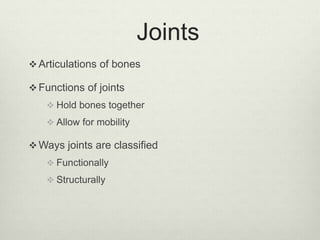 Anatomy, bones & joints | PPTX
