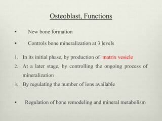 Anatomy, bones & joints | PPTX