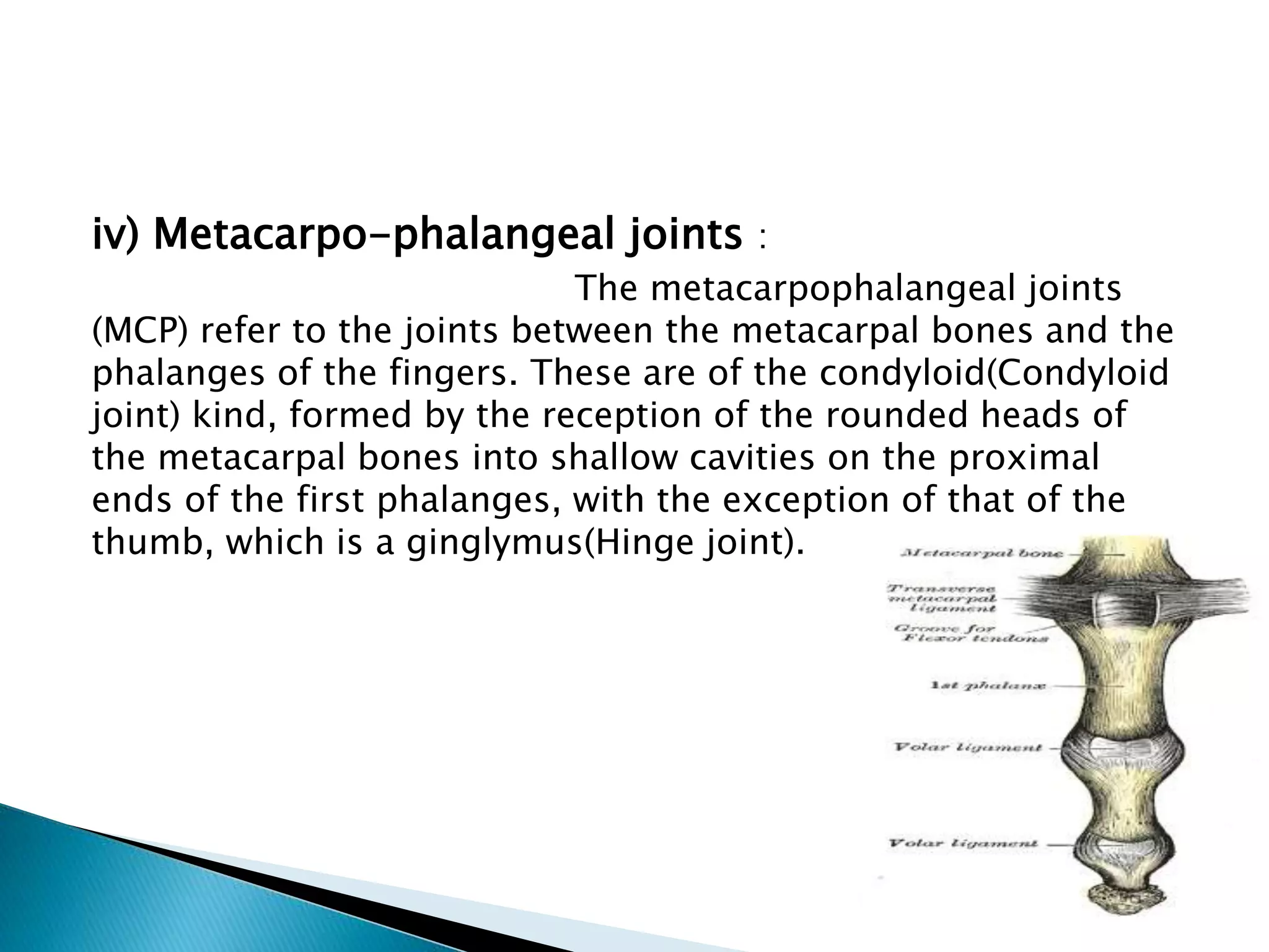Anatomy bones of upper limbs | PPTX