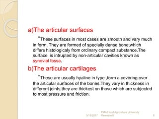 TYPES OF JOINTS | PPTX