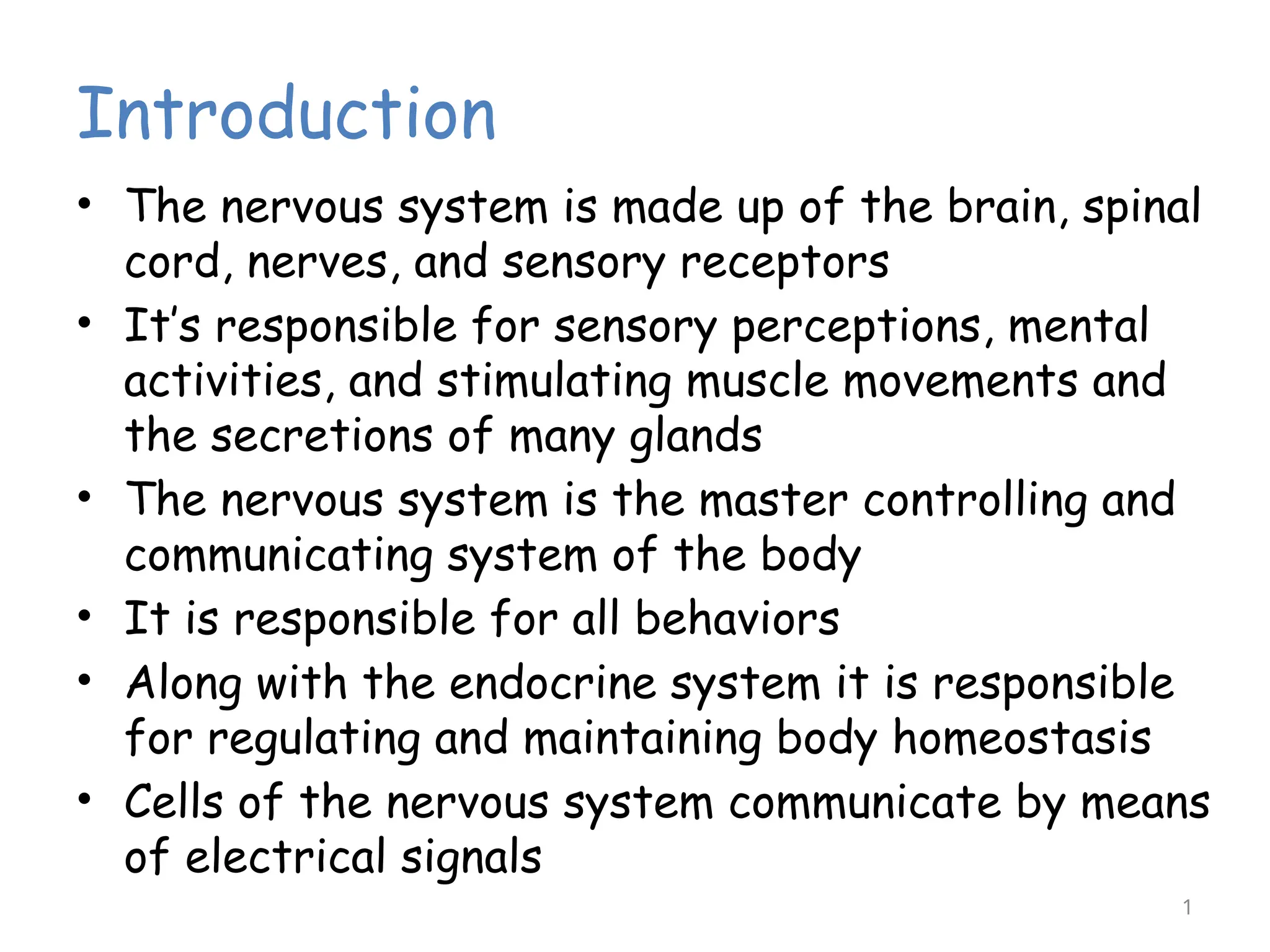 anatomy central nervous system for medical .pptx