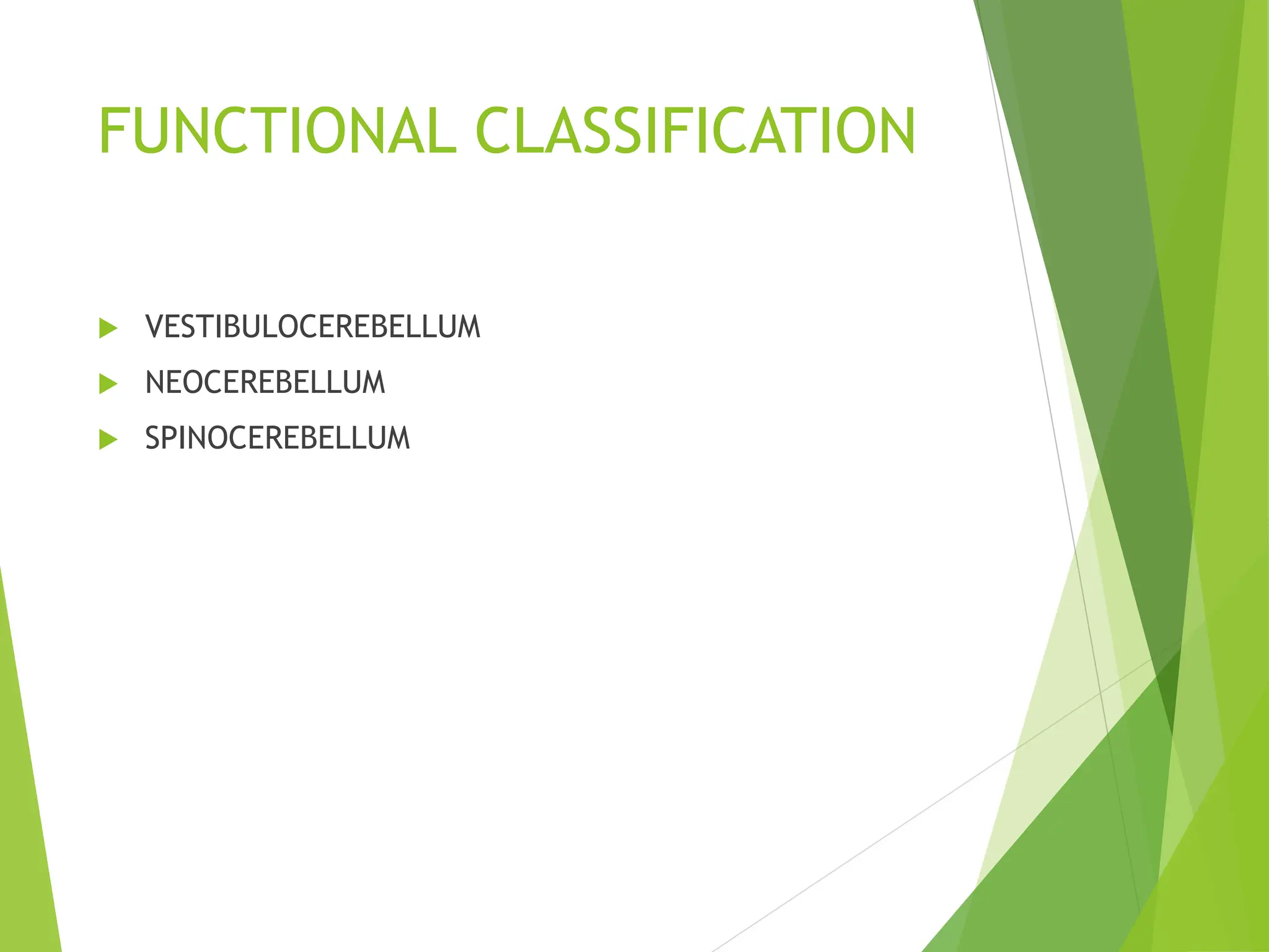 ANATOMY CEREBELLUM functinal classification.pptx