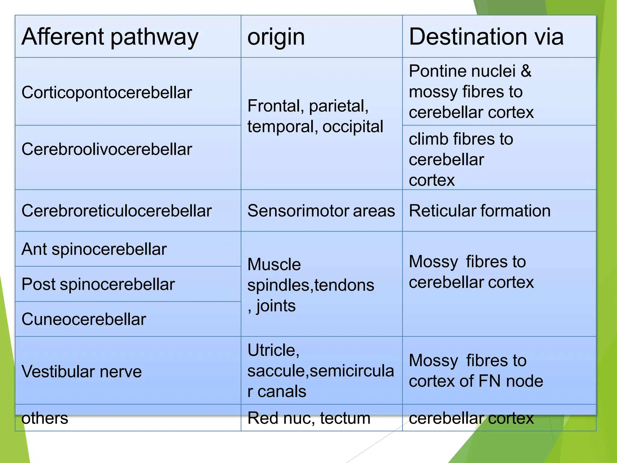 ANATOMY CEREBELLUM functinal classification.pptx