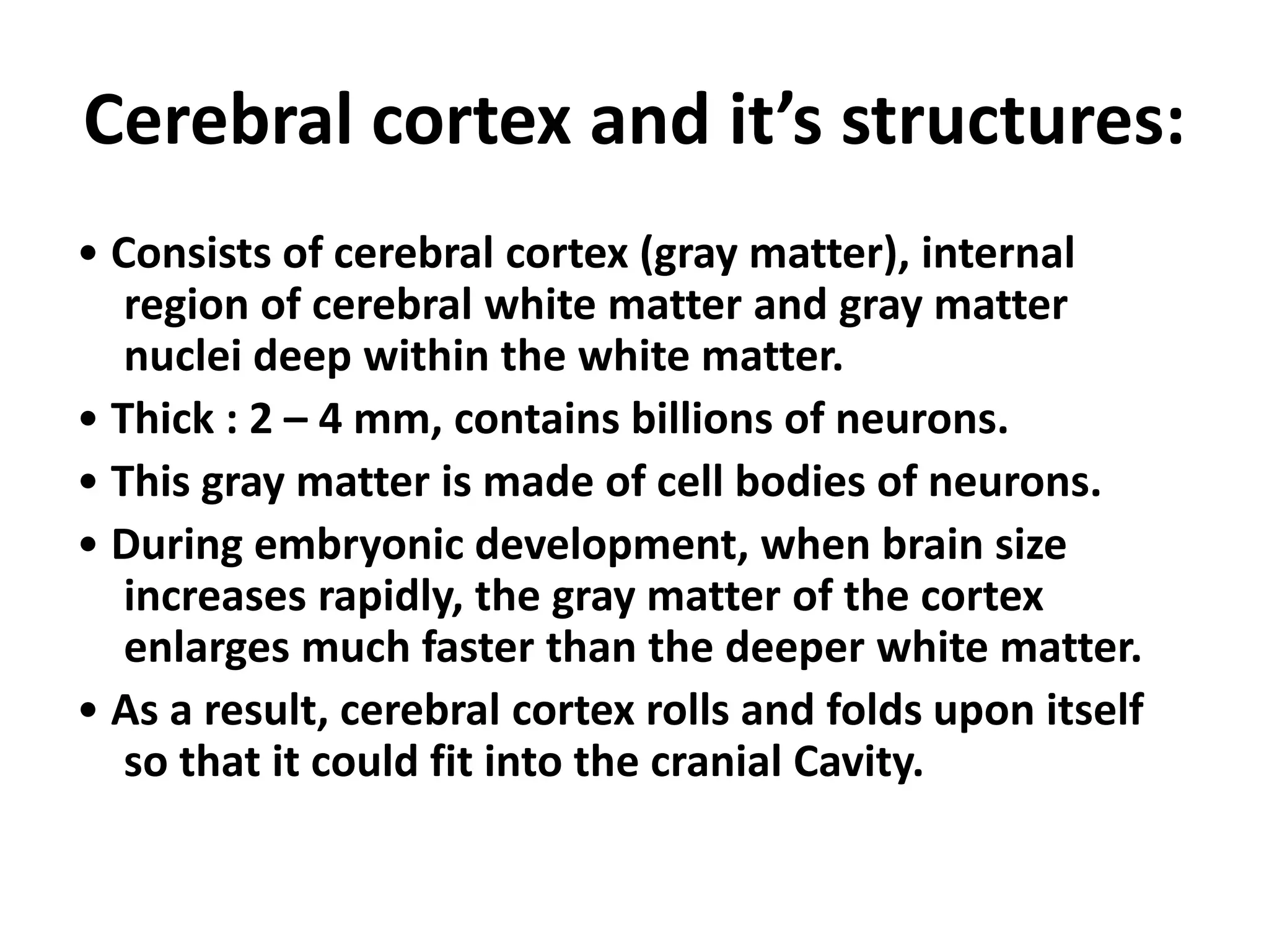 anatomy cerebrum.pptx